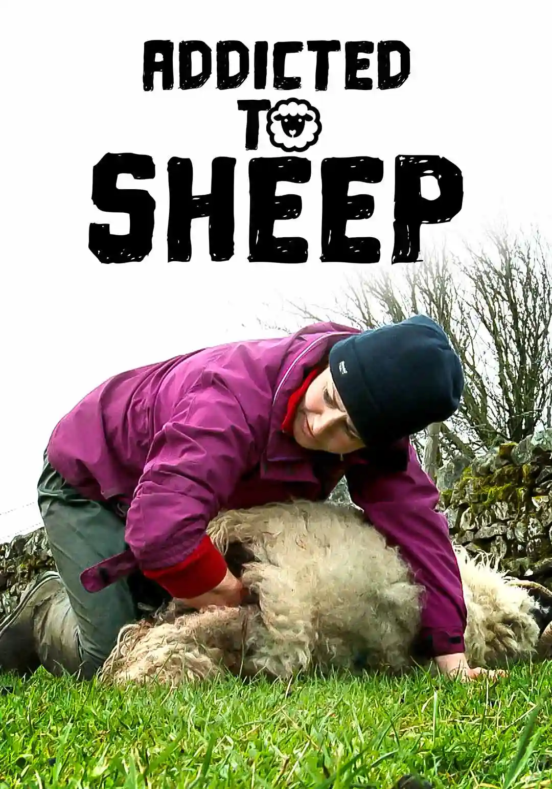 DocuBay - One Tribe. Many Stories.